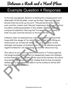 Between a Rock and a Hard Place IGCSE Lessons and Activities - Expat ...