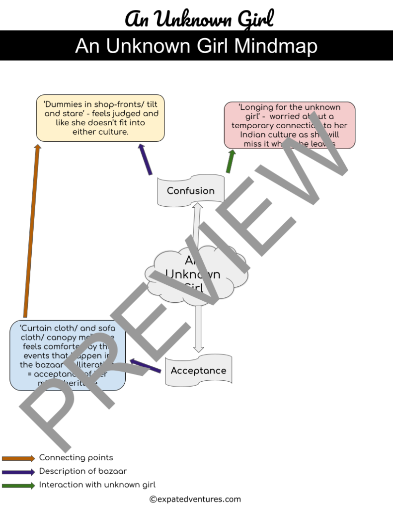 An Unknown Girl IGCSE Resources and Analysis - Expat Edventures